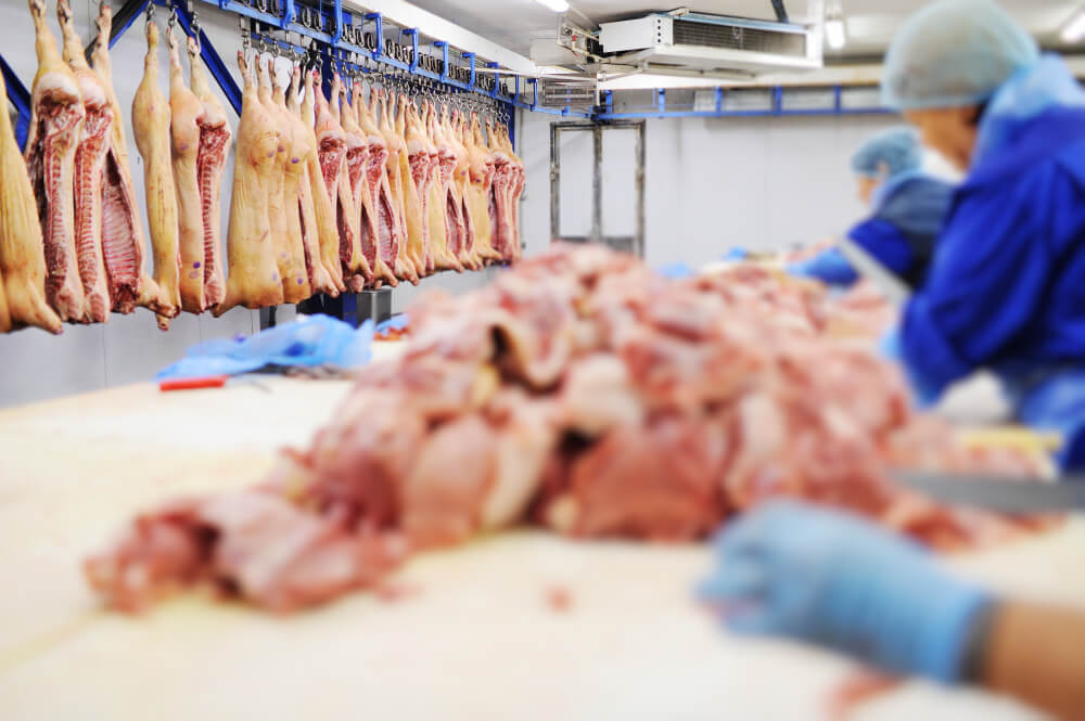 Top Abattoir Tools for Efficient Meat Processing in Ireland - Kentmaster