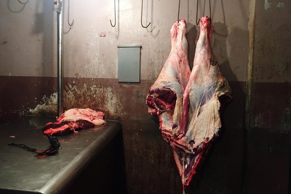 Top 5 Must-Have Abattoir Equipment for Efficient Meat Processing in ...