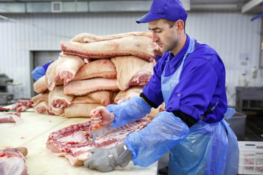 Designing an Efficient Small Abattoir with Kentmaster Ireland - Kentmaster